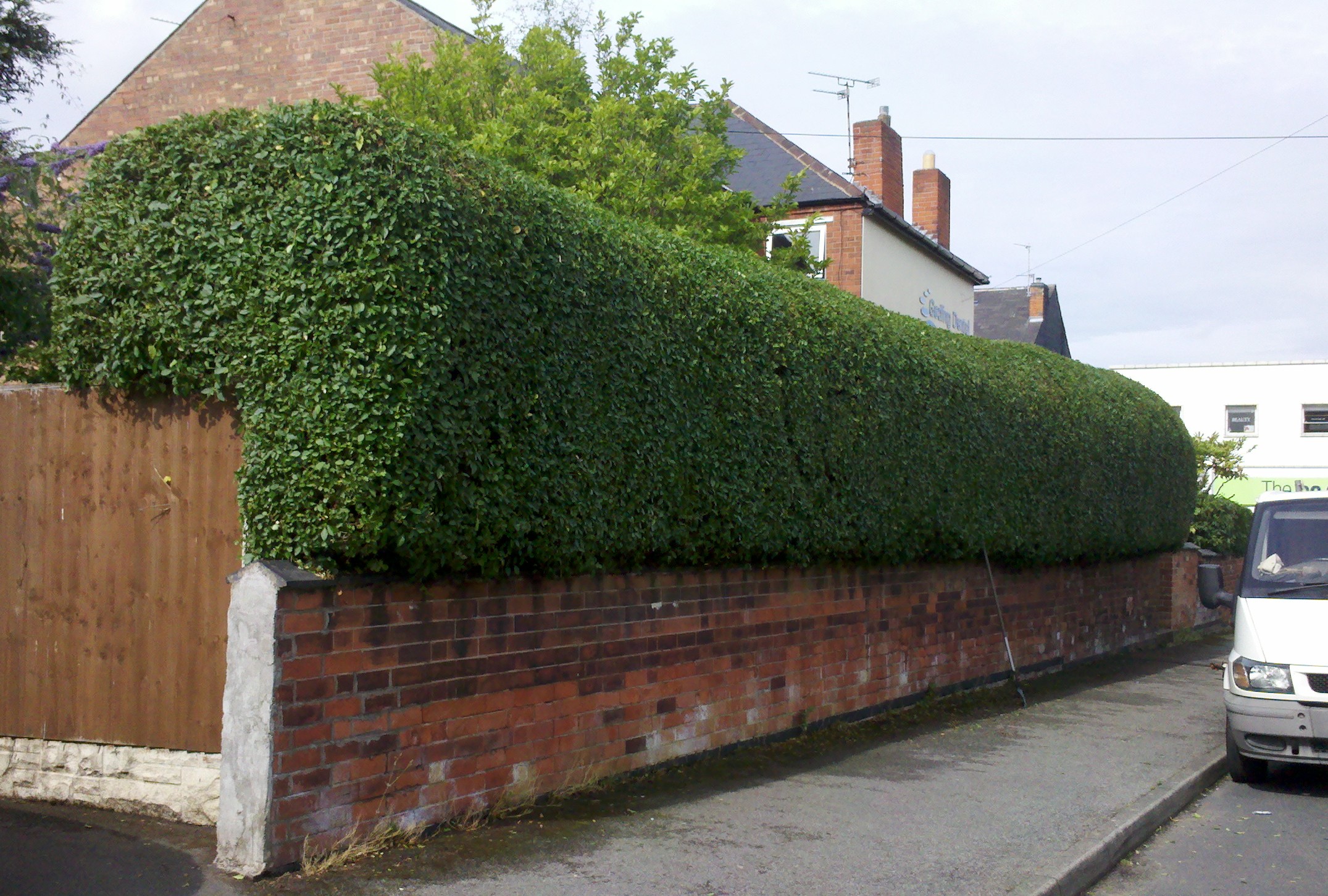 Hedge Trimming Removal Planting Nottingham Oxton Southwell Providing Commercial Grounds 